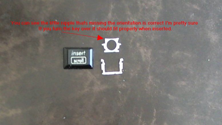 Caps lock & Scroll Lock LEDs not working but Num Lock is wor... - Page ...