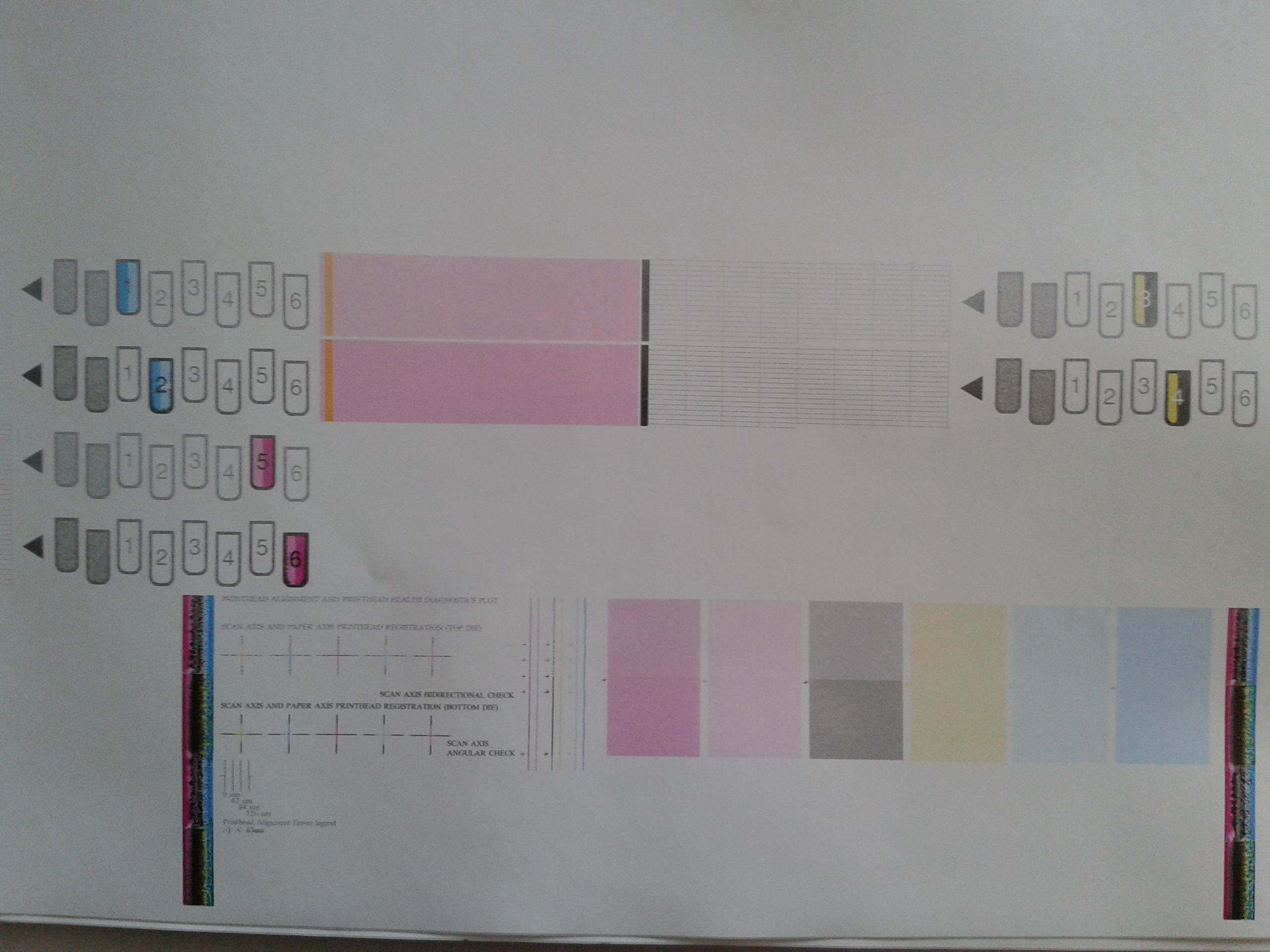 Grainy print and different ink coverage along print lines - HP Support ...
