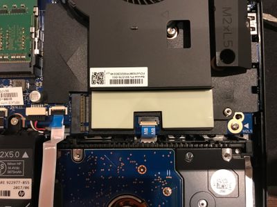 Solved: M.2 Port Questions - HP Support Community - 6622909