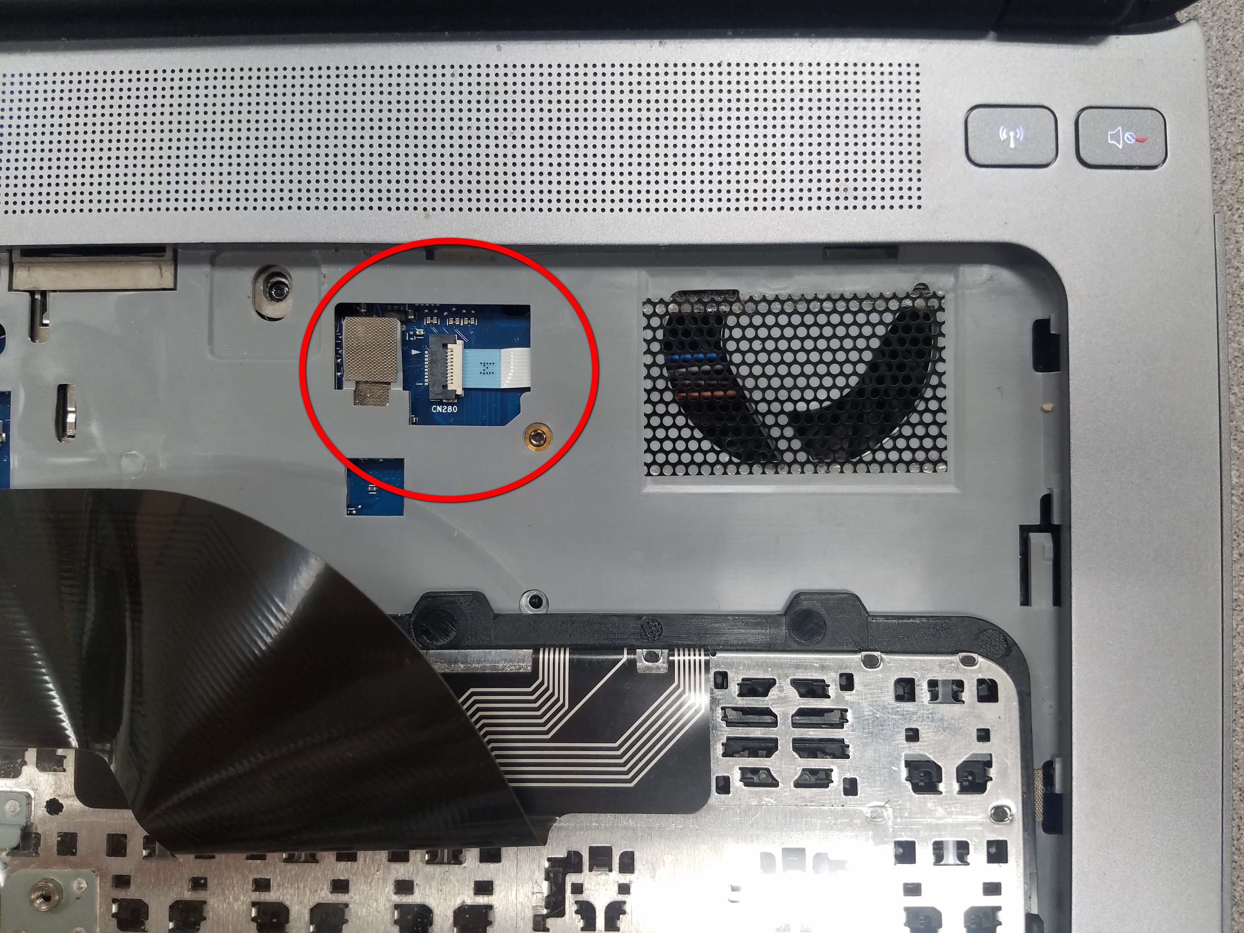 My laptop goes haywire when the sound is unmuted - HP Support Community ...