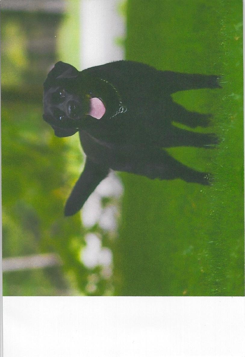 4x6 photo paper partial printing - HP Support Community - 7103826