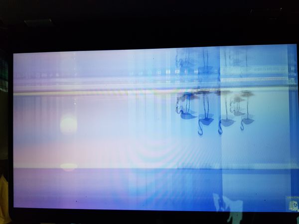 Why is my screen becoming scrambled? - HP Support Community - 7137569
