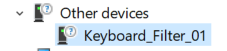 Other devices: Keyboard_Filter_01 - HP Support Community - 7162337