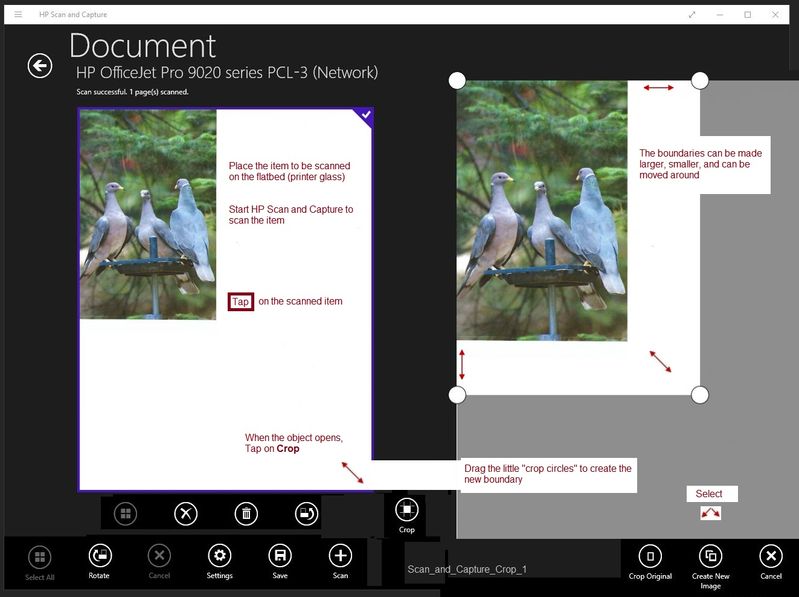 Solved: Scanning - HP Support Community - 7326072