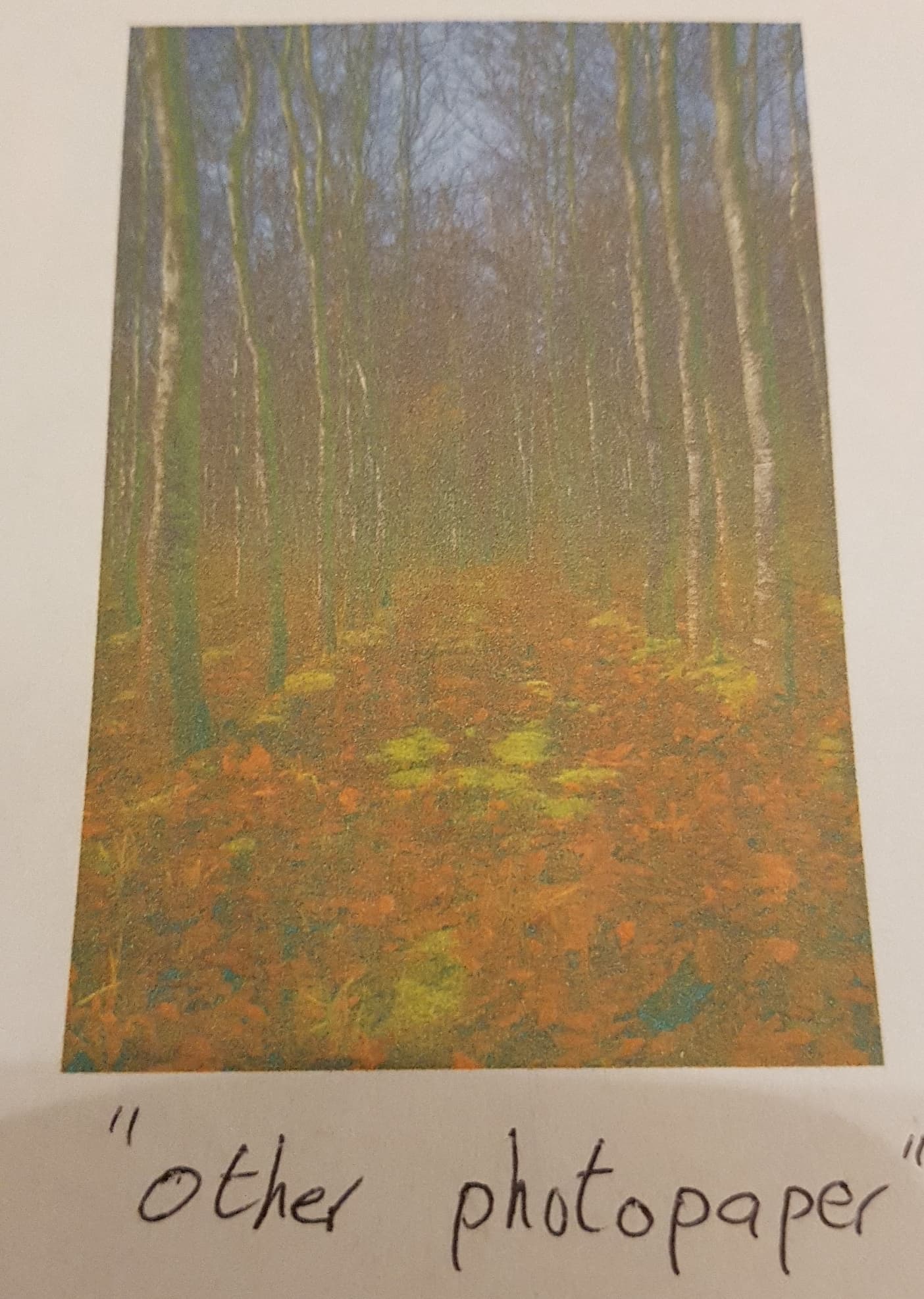 Solved: Completely wrong colors on HP Advanced Photo Paper - HP Support ...