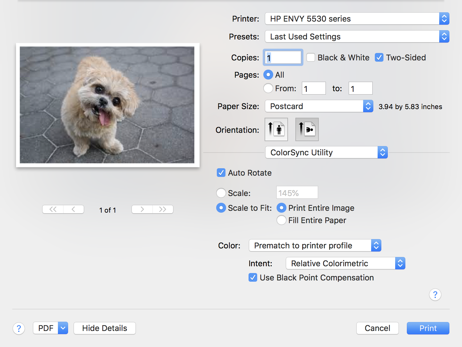 Photo Printing Alignment - HP Support Community - 7521664