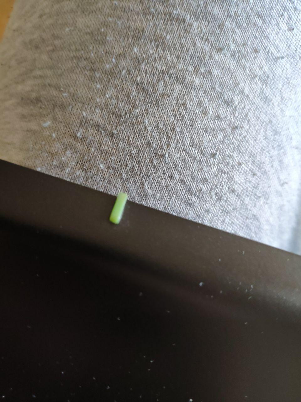 Laptop Legs - HP Support Community - 7579304