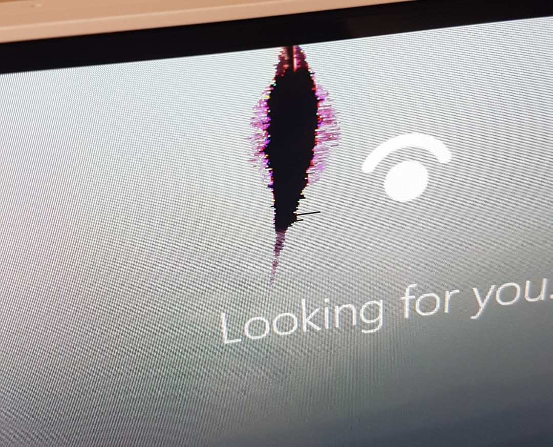 screen pixels issue - purple blob on screen - HP Support Community ...