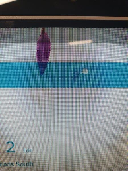 screen pixels issue - purple blob on screen - HP Support Community ...