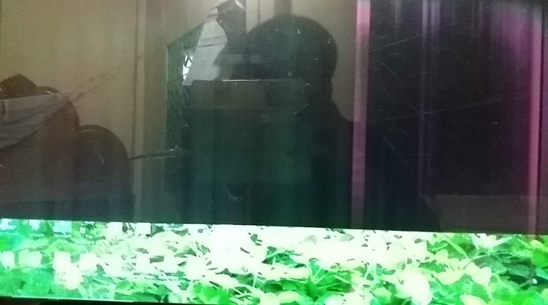 My touch display is discolored,what is the cause of it and h... - HP ...