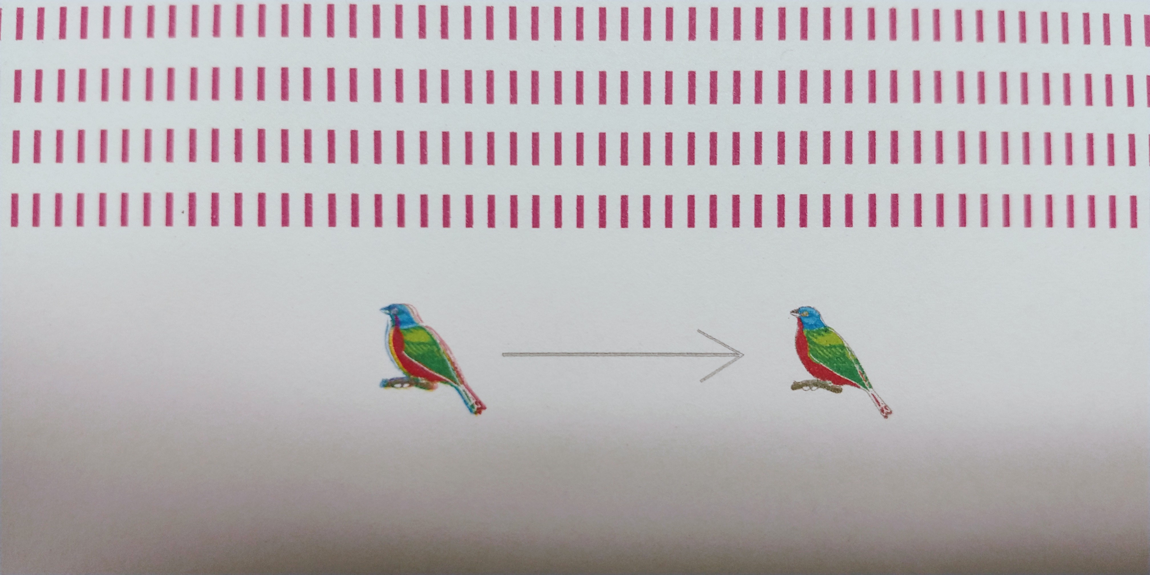Solved: HP DesignJet T730 - Printhead Alignment Issue - HP Support ...