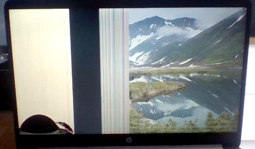 black spots and vertical lines on screen - HP Support Community - 7707434