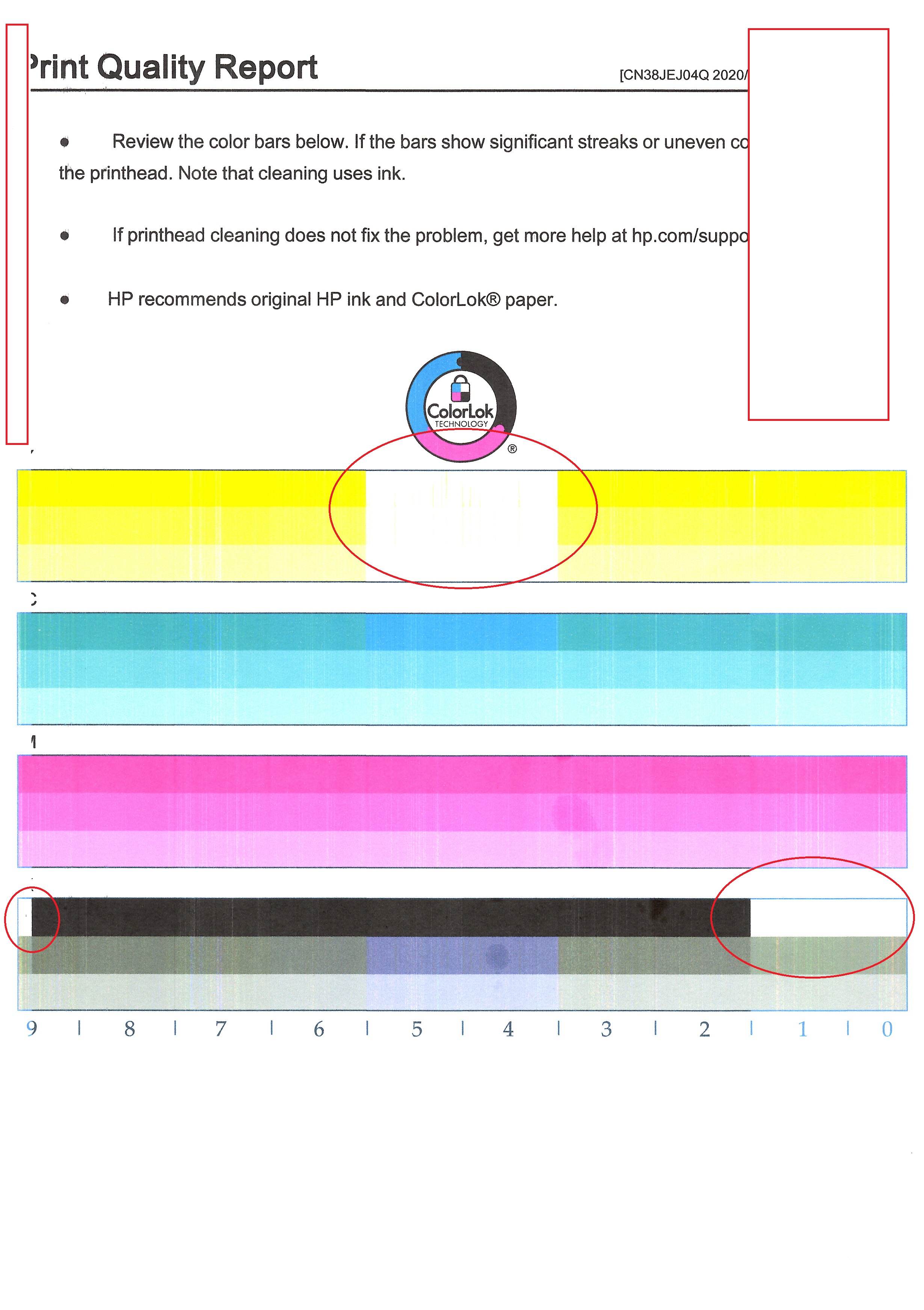 Complete missing sections on test page and cleaning fails to... - HP ...