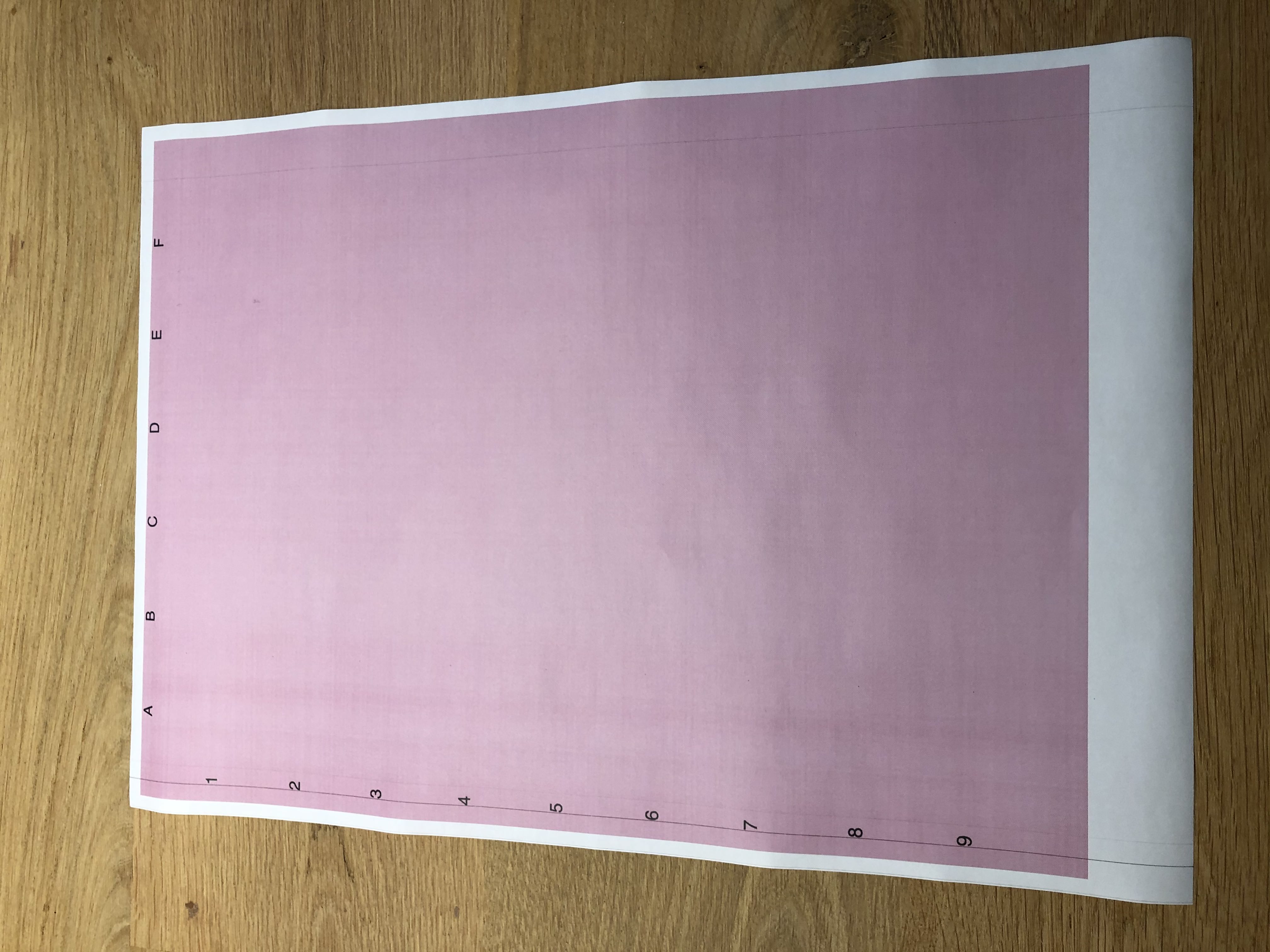 continuous vertical lines on the front and back of the print... - HP ...