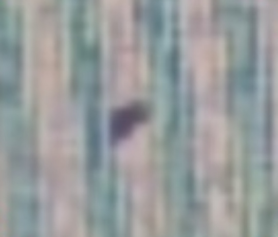 Sub-pixel error or full pixel error? - HP Support Community - 8023776