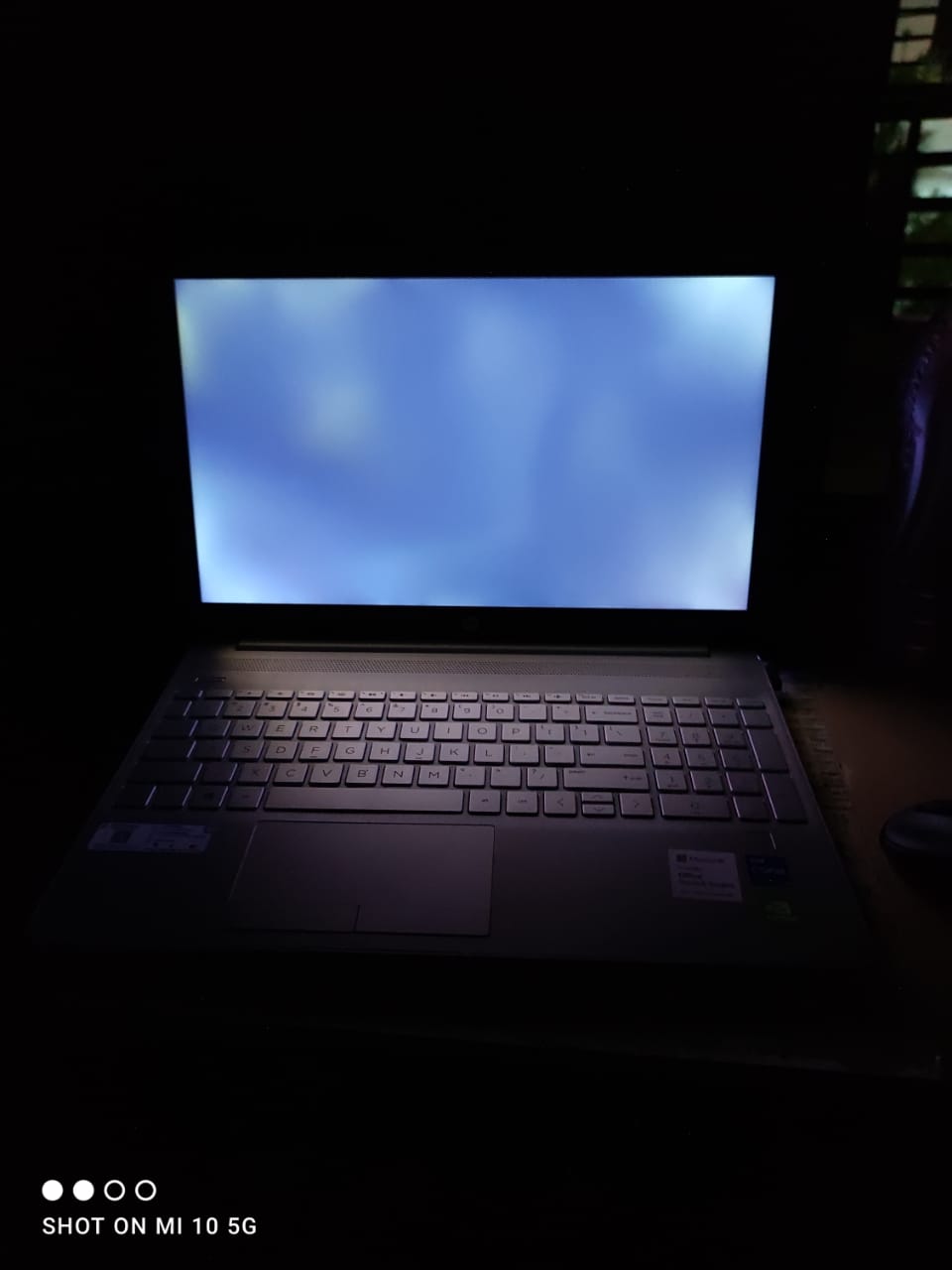 display bleeding issue - HP Support Community - 8066346