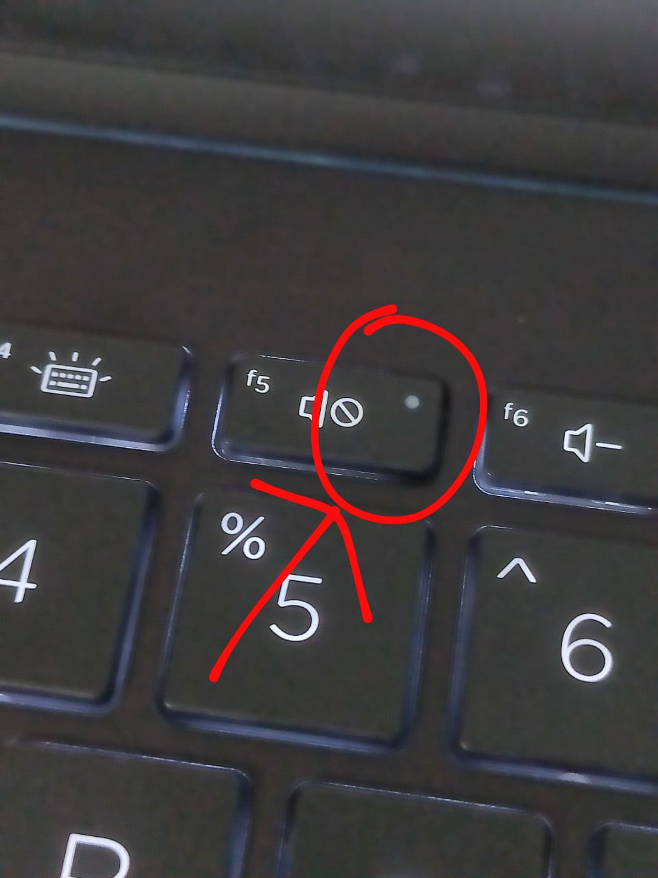 LED of f5 and f8 ( speaker and mic mute status ) not workin... - HP ...