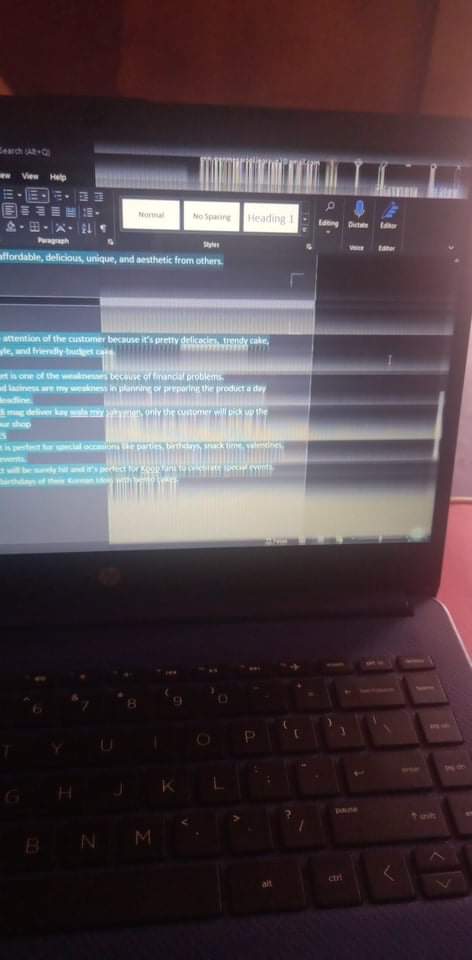 Screen Issues - HP Support Community - 8339177