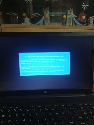 3fo error,hard disk error,bios not installed.and my laptop i... - HP ...