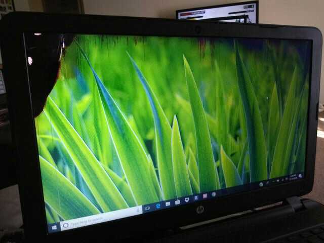 My friend accidentally throwed Dell laptop and my screen loo... - HP ...