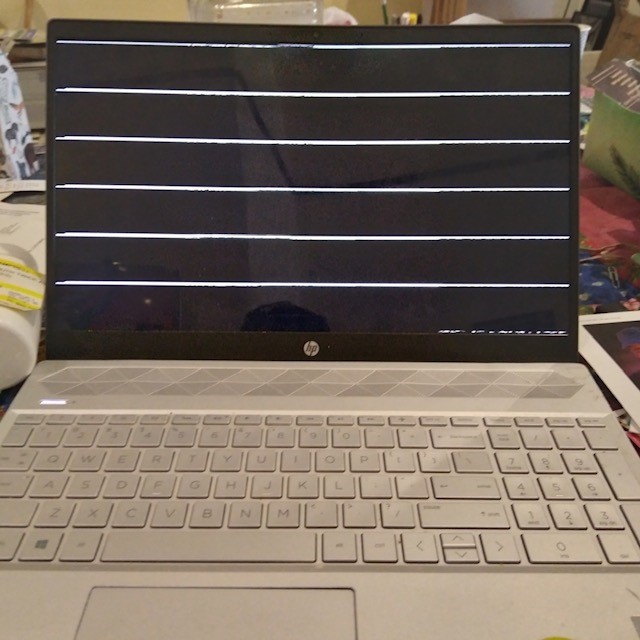 HP Pavilion 15 -CS3153CL Laptop randomly getting black scree... - HP ...