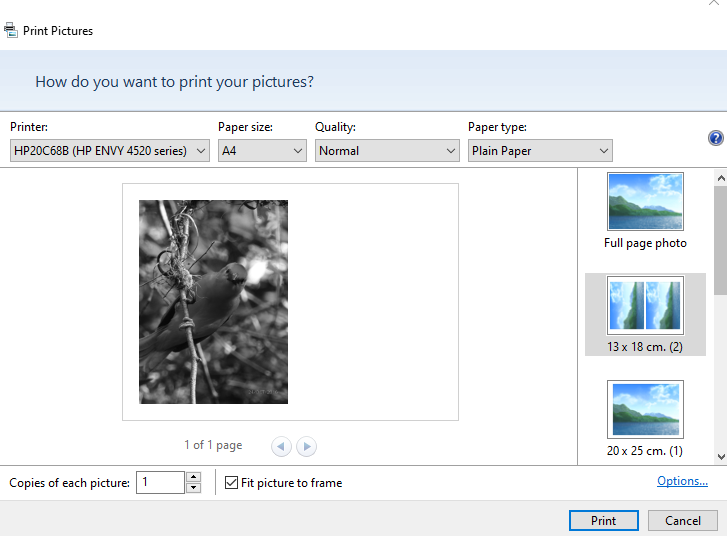 No option to print in colour, Windows prints only in black a... - HP Support Community - 8498718