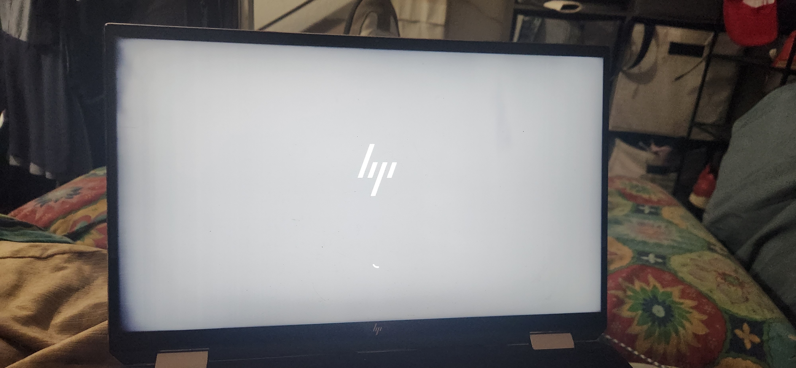 Screen has colored vertical lines and a hazy fog overlayed o... - HP ...