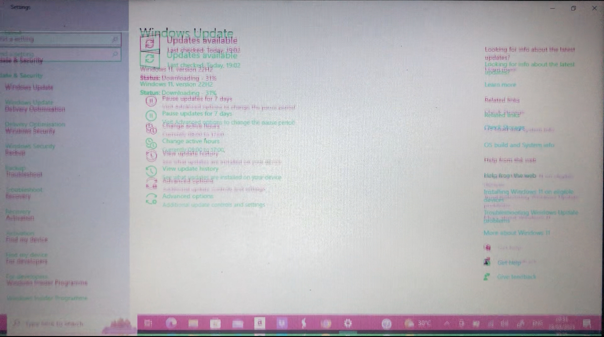 Green and pink duplicate laptop screen with visible refreshi... - HP Support Community - 8652488