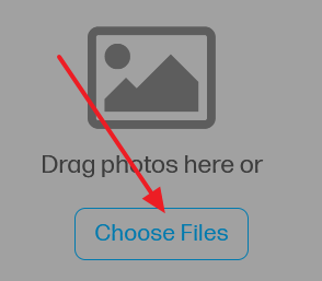 Solved: Shadow appears in scanned page in my Printer/scanner - HP ...