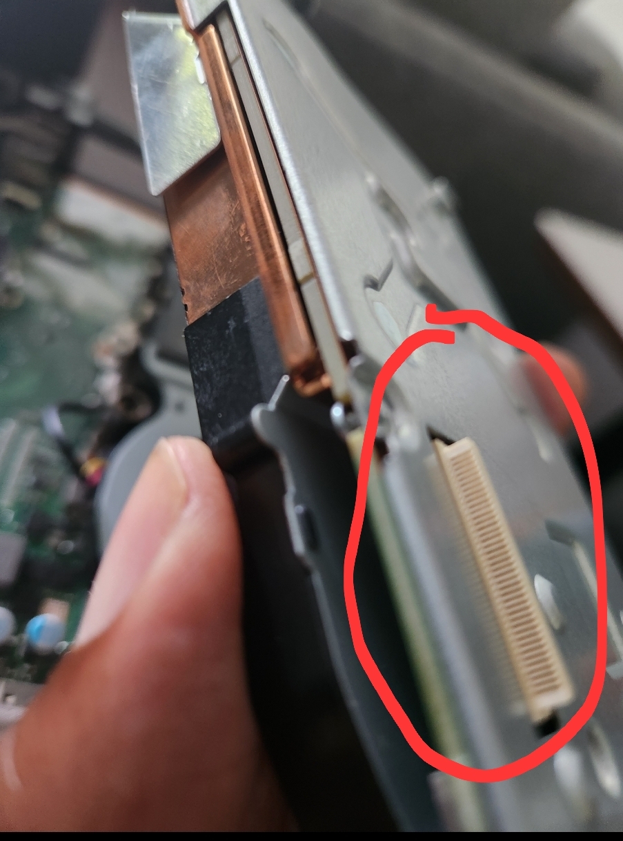 Solved: HP Elitedesk G5 Mini GPU help (RX560) - Page 2 - HP Support ...