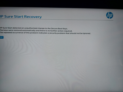 HP Sure Start Recovery Loop - How can I avoid it? - HP Support ...