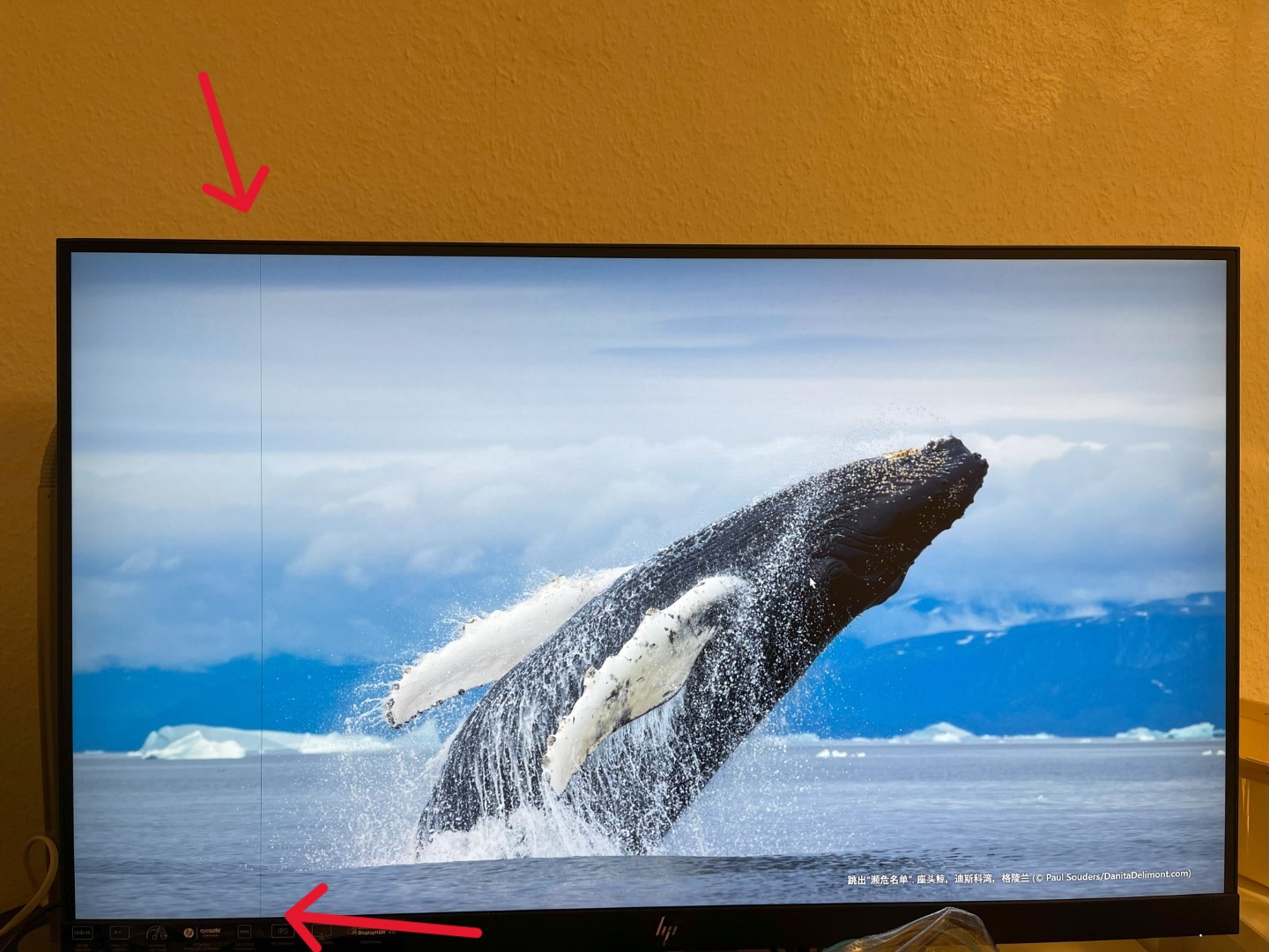 Black vertical line on my monitor - HP Support Community - 8950020