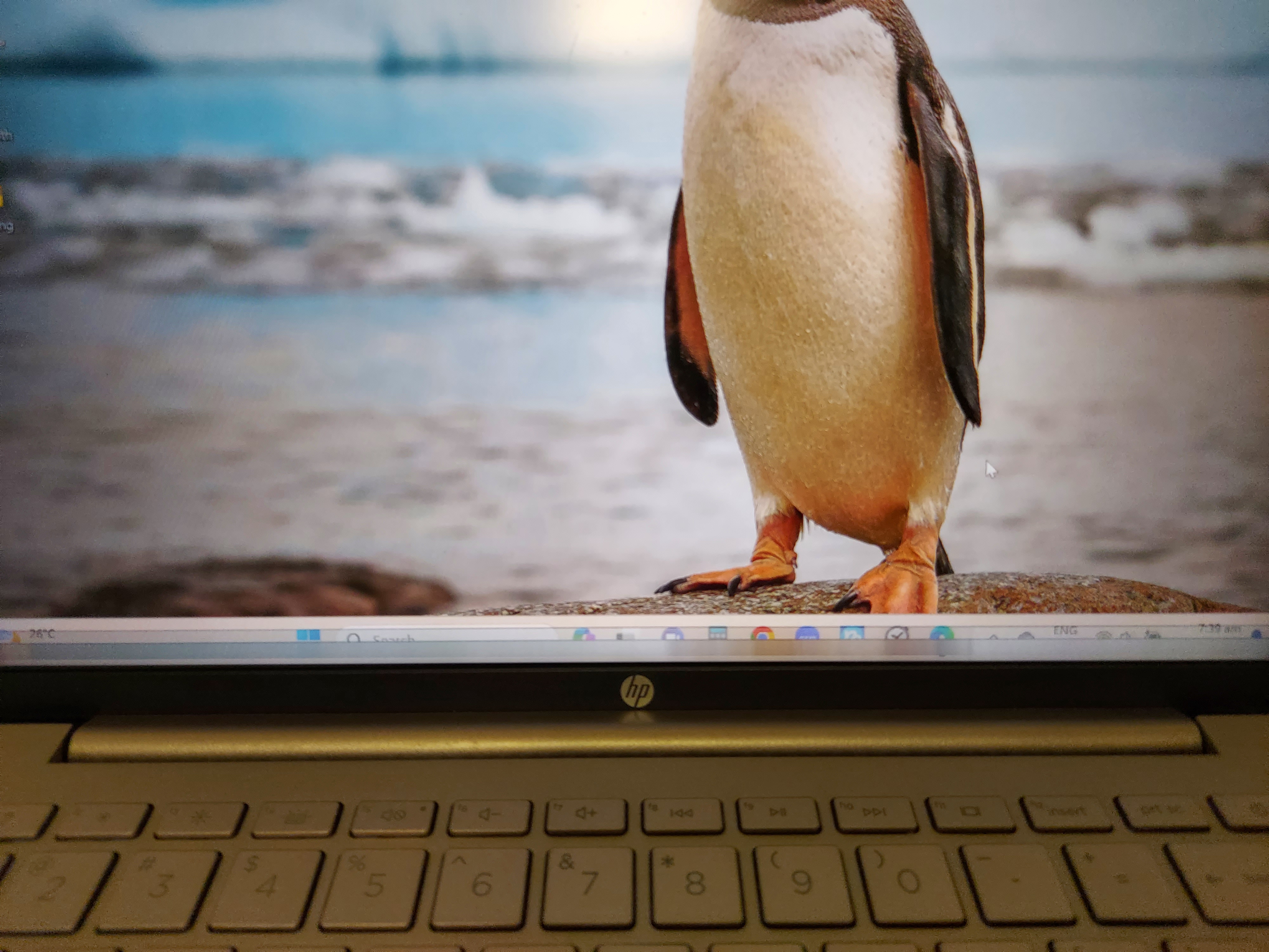 The screen is unstable - HP Support Community - 8951889