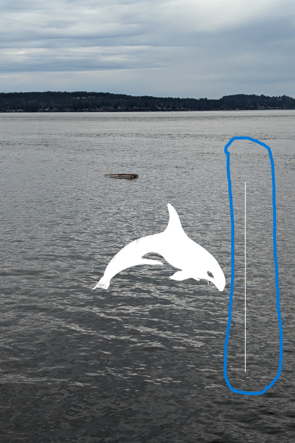 Custom stickers include vertical white line on right side - HP Support ...