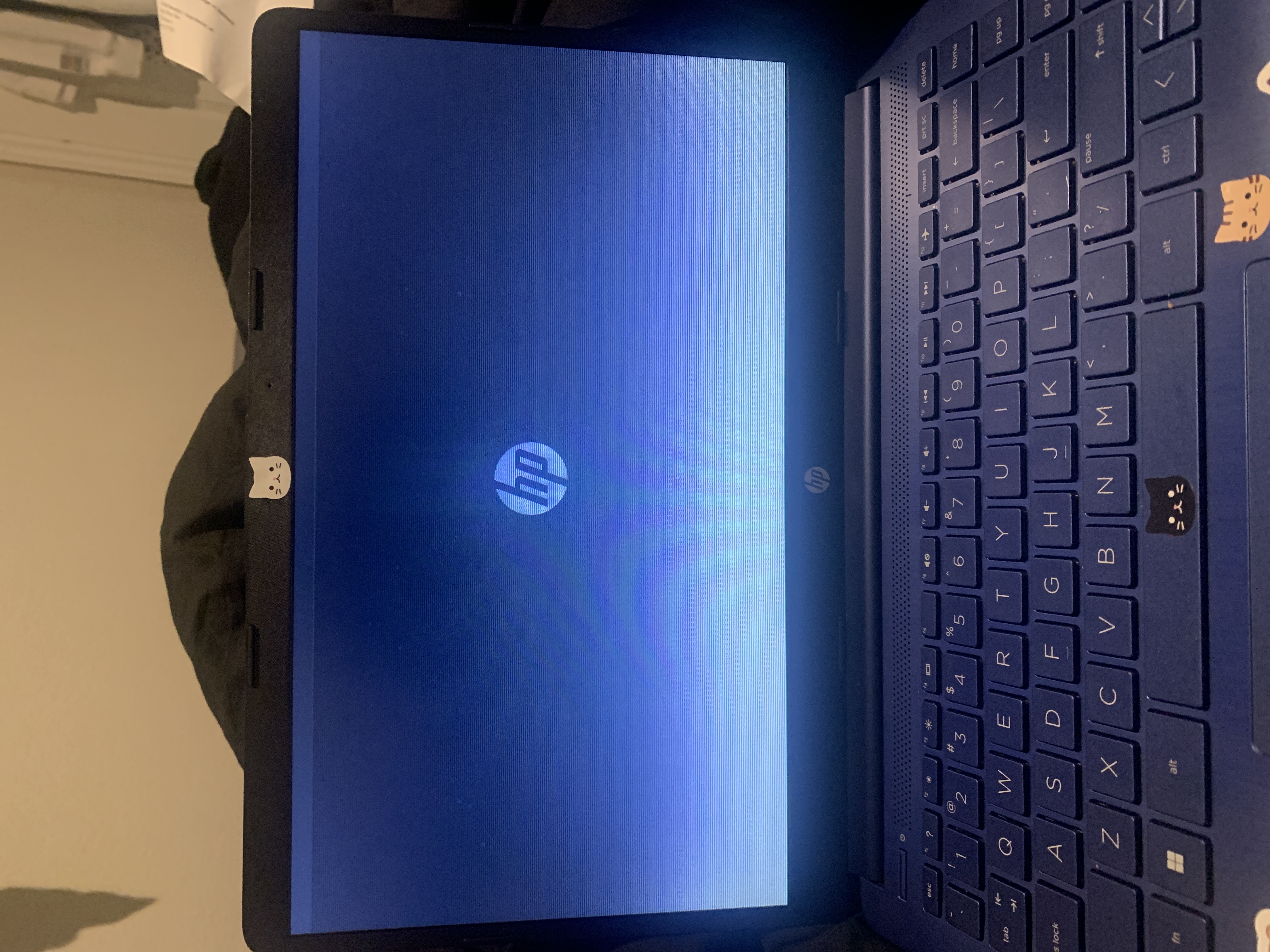 Display issue, white lines across 99% of screen - HP Support Community ...