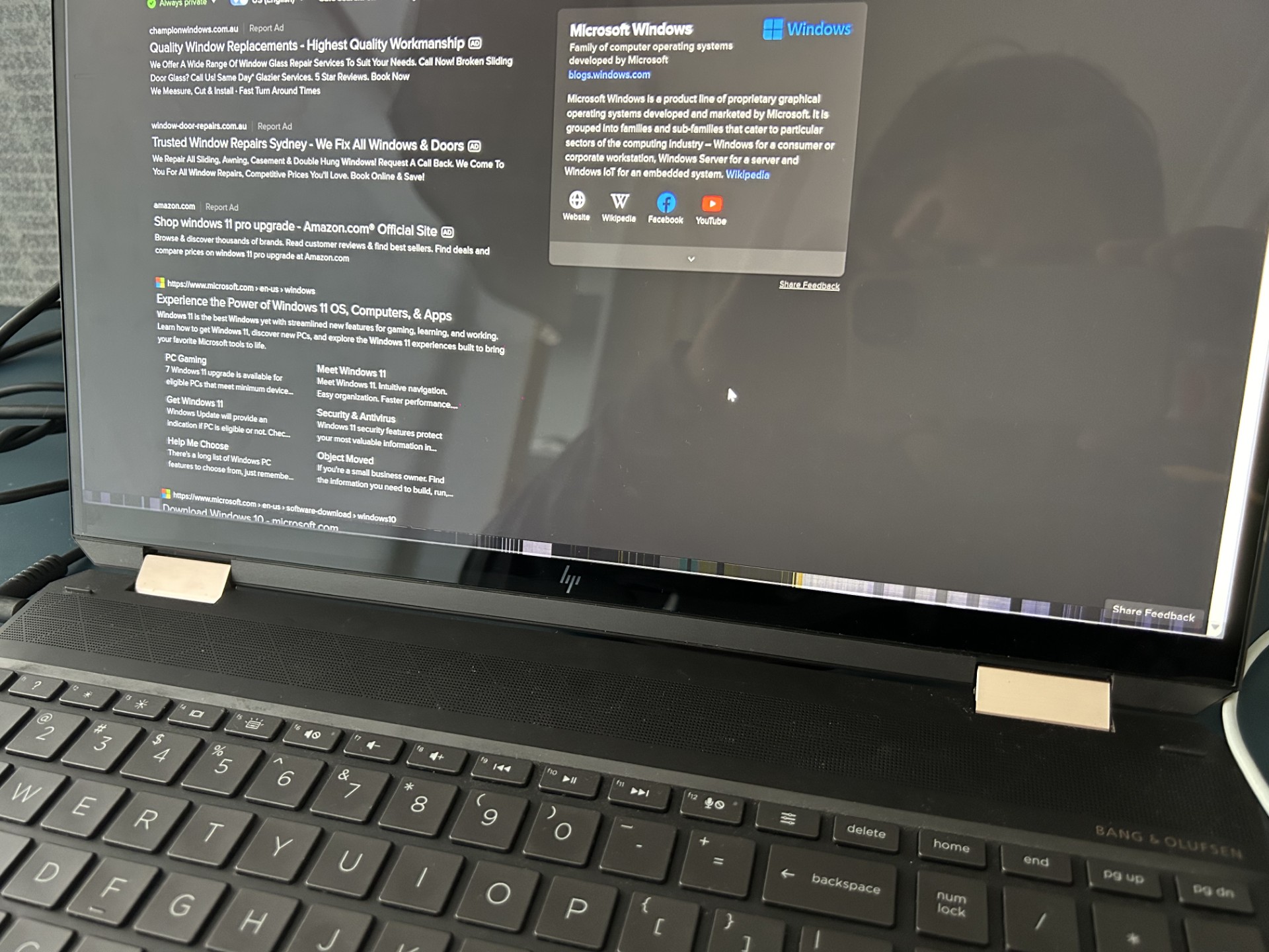 Display Software Glitch or Hardware Failure? - HP Support Community ...
