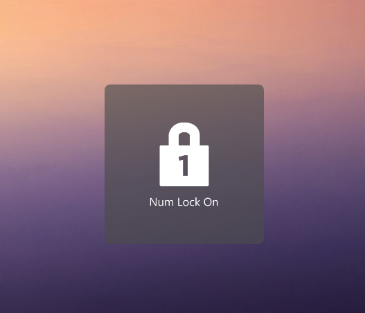 I need the num lock and caps lock on screen notification tur... - HP ...