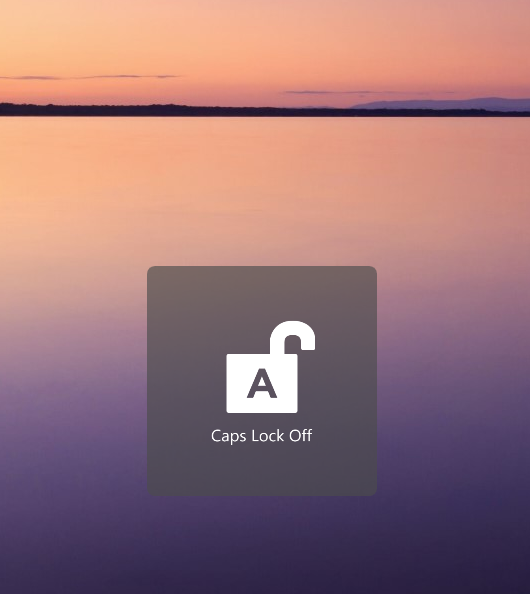 I need the num lock and caps lock on screen notification tur... - HP ...