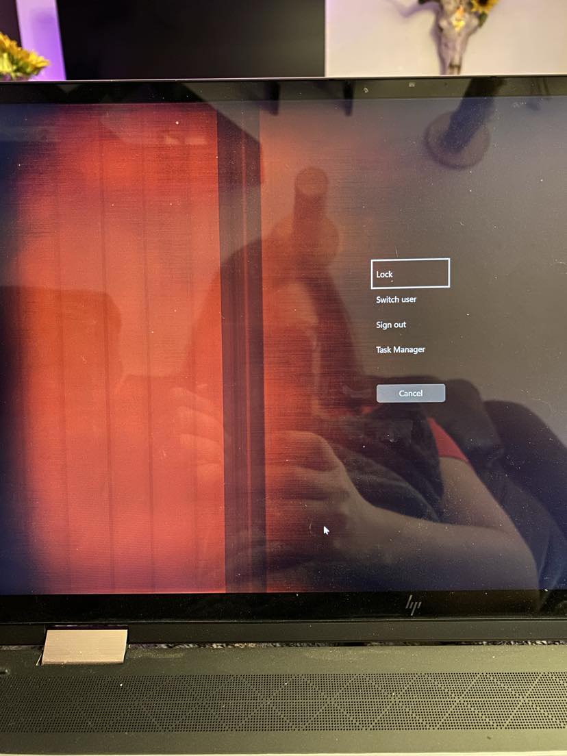 Variety of display distortions - HP Support Community - 9241717