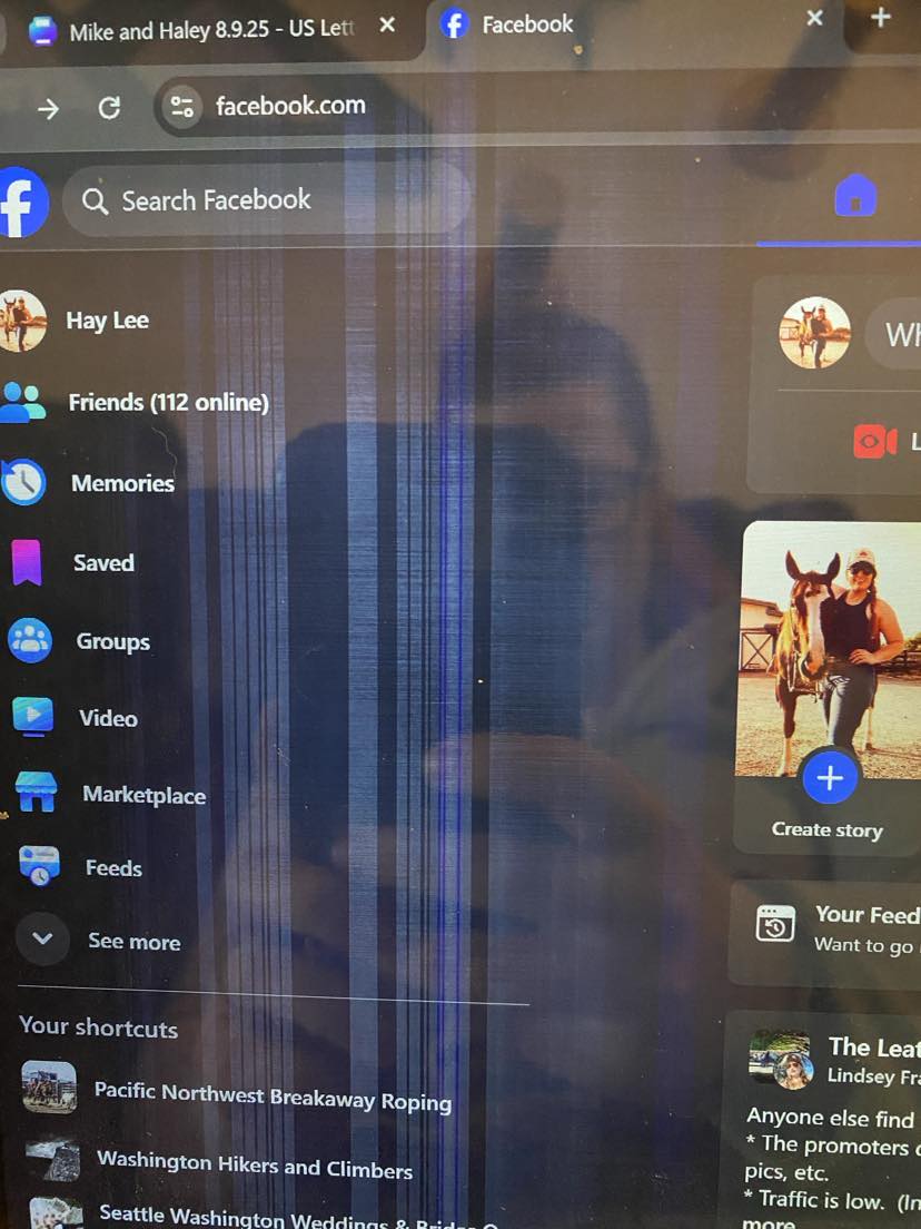 Variety of display distortions - HP Support Community - 9241717