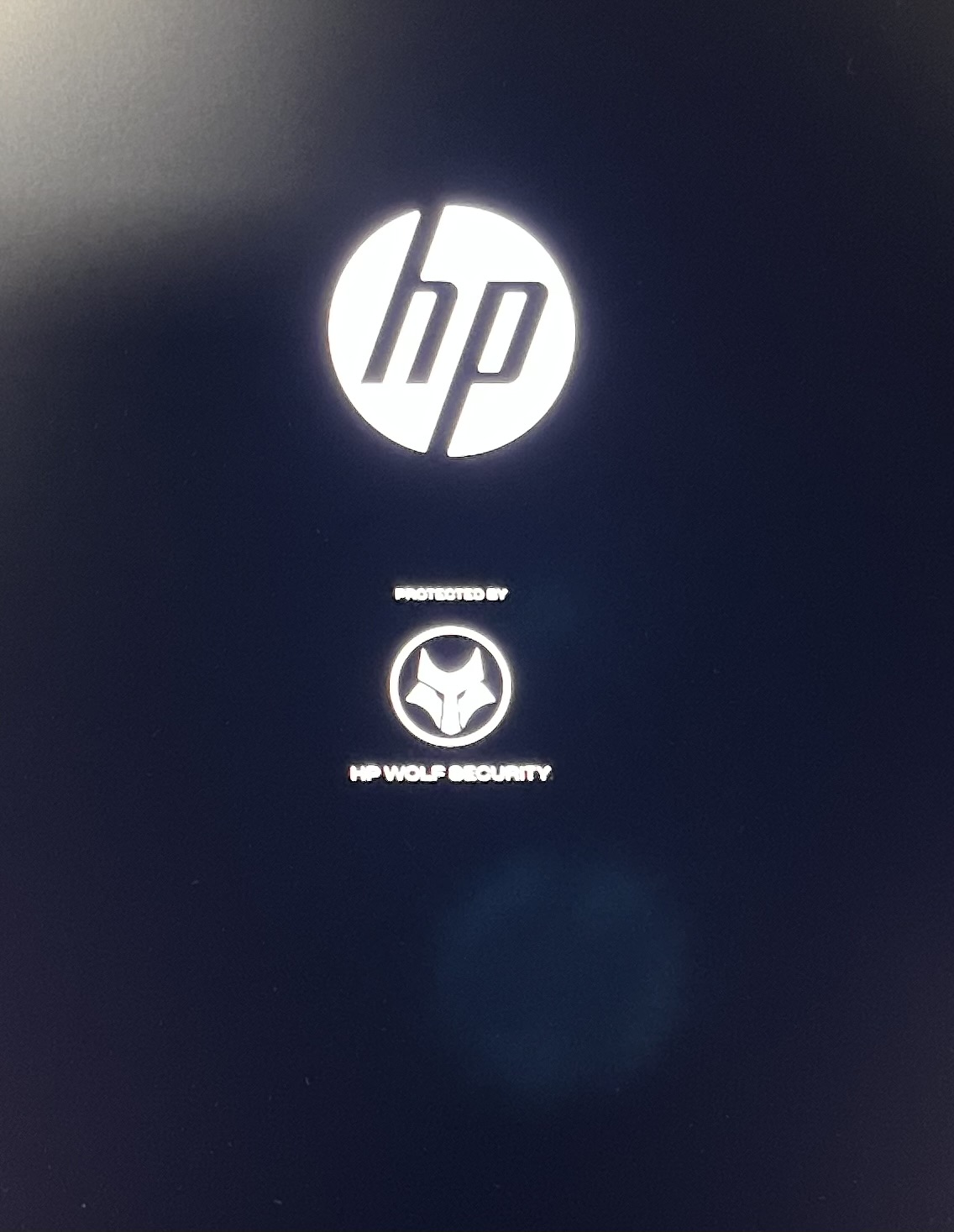[ProBook 440 G11] Old HP logo in latest BIOS? - HP Support Community ...