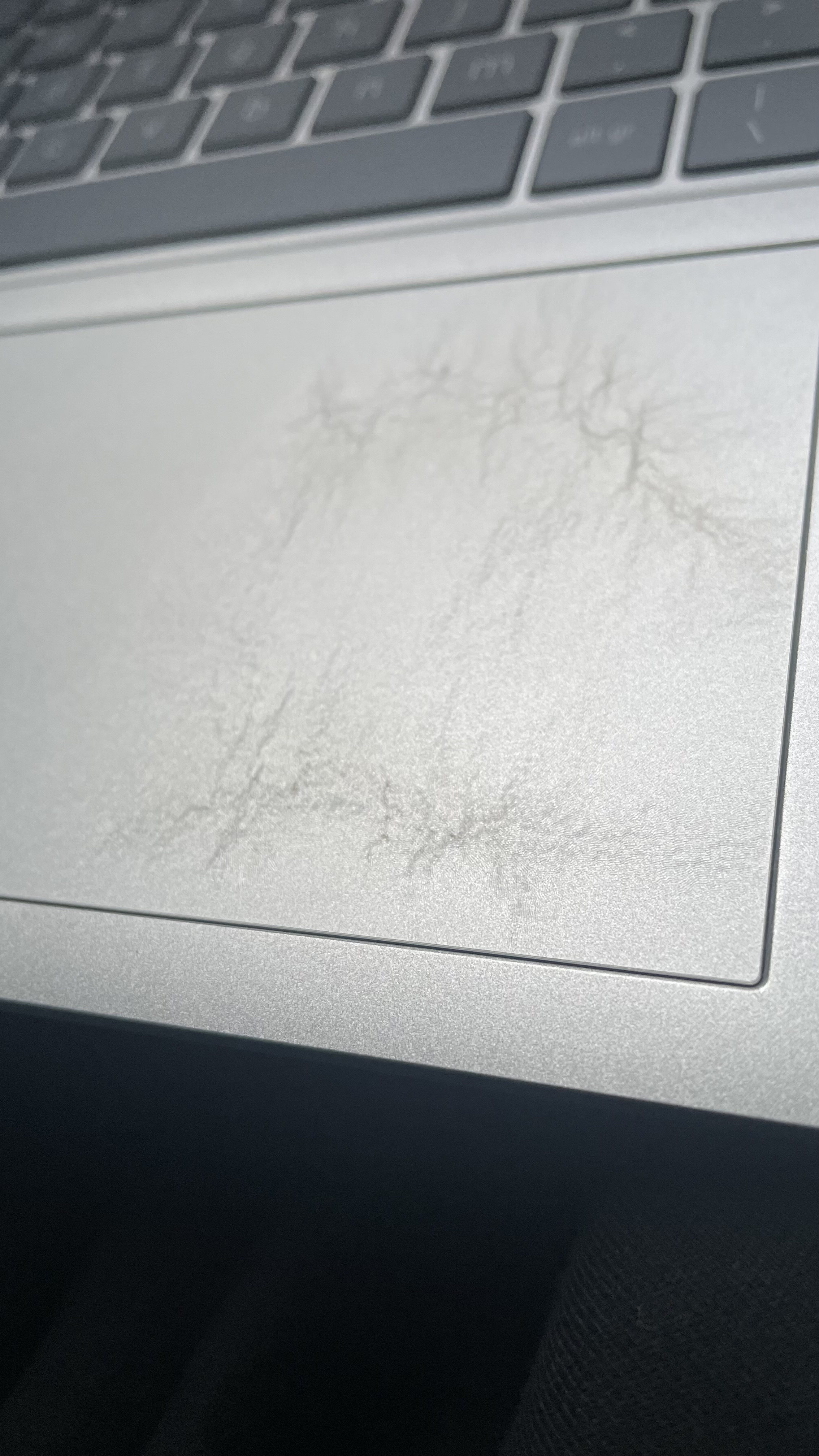 How do I get rid of these weird branch things on my touchpad... - HP ...