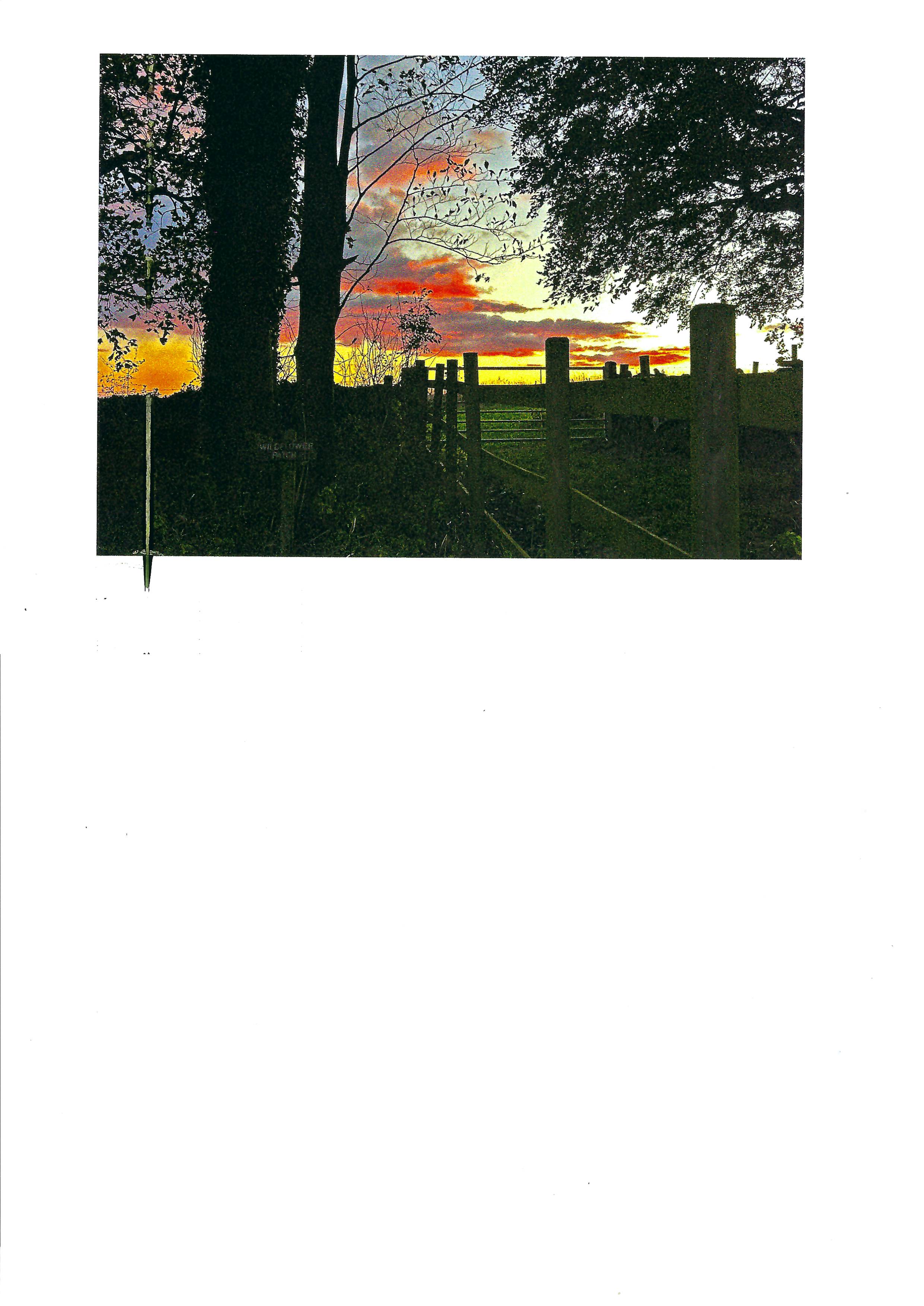 Streaks in the photo printing - HP Support Community - 9495649
